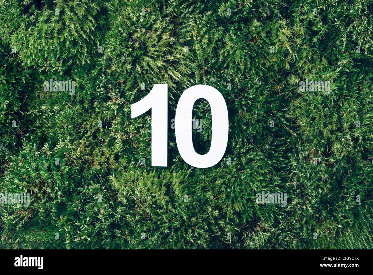 Green grass, digit ten. Birthday greeting card with inscription 10 ...