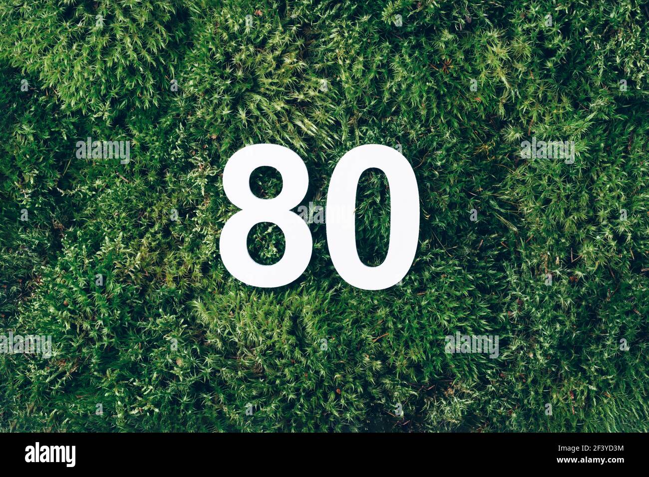 Green grass, digit eighty. Birthday greeting card with inscription 80 ...