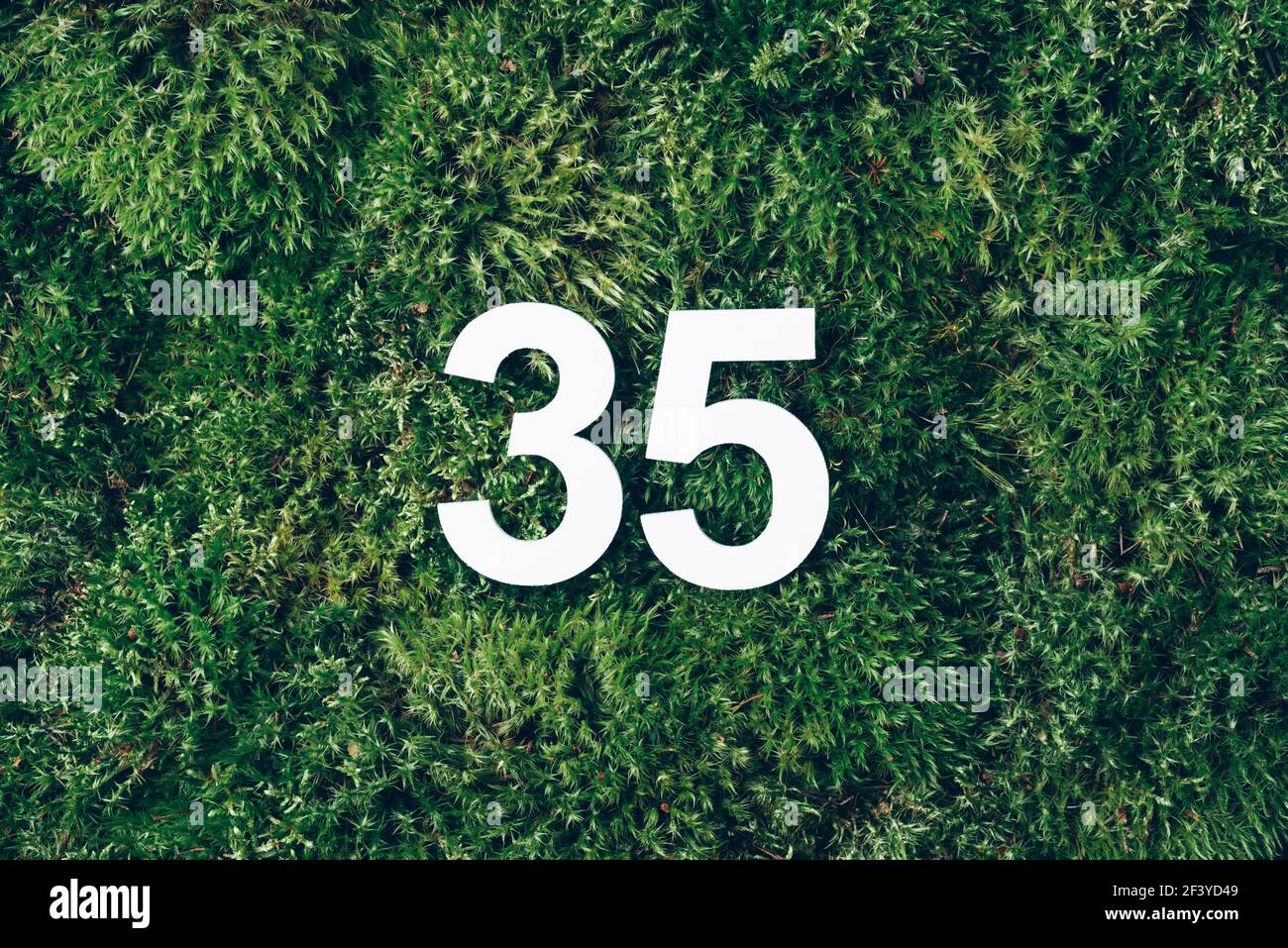Green grass, digit thirty-five. Birthday greeting card with inscription ...