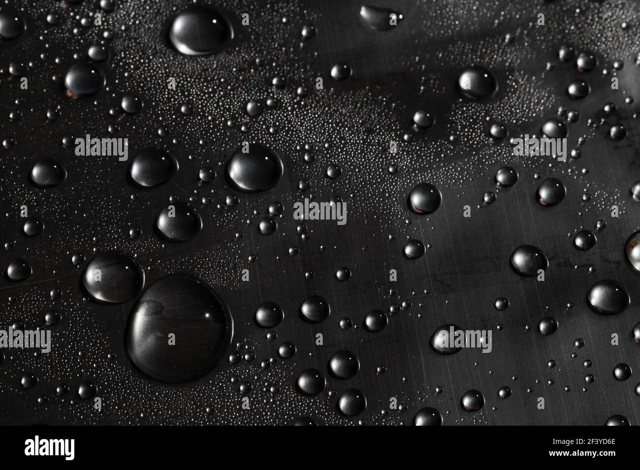 Water drops on the surface covered with foil. Surface tension Stock ...