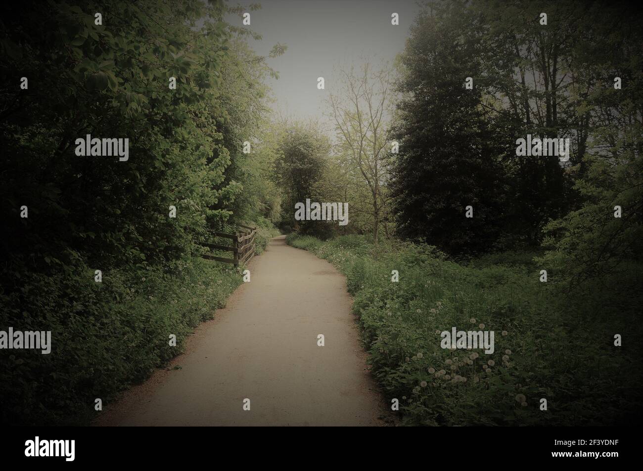A gentle pathway lined with greenery. Long Eaton, Derbyshire, England ...