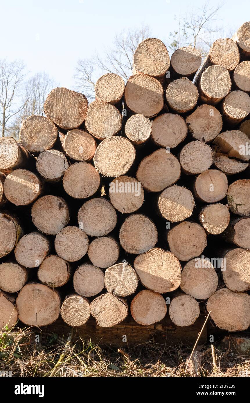 Germany German Cross Section High Resolution Stock Photography and ...