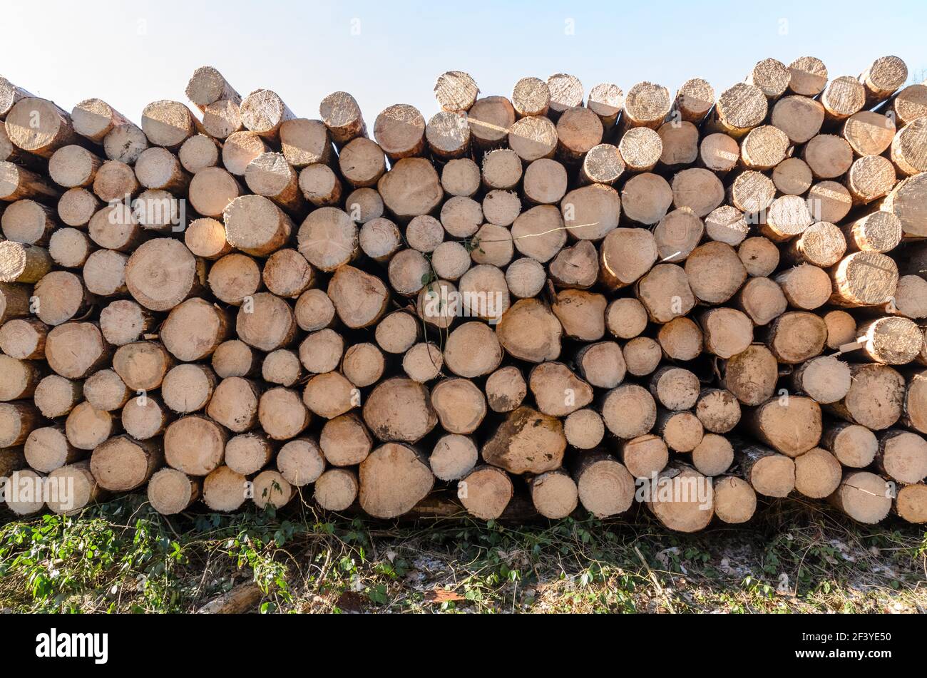 Germany German Cross Section High Resolution Stock Photography and ...