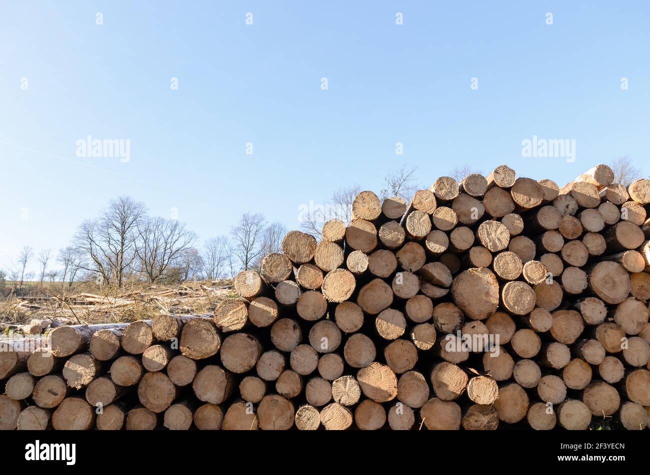 Germany German Cross Section High Resolution Stock Photography and ...