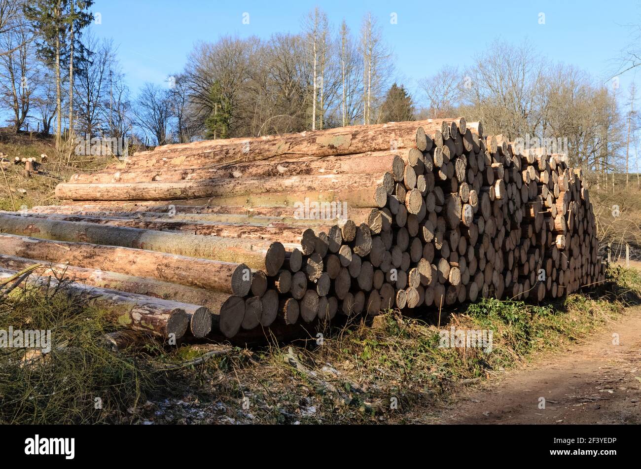 Germany German Cross Section High Resolution Stock Photography and ...