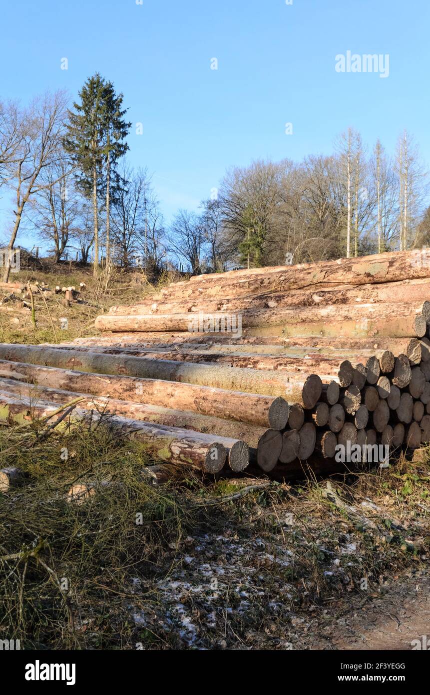 Germany German Cross Section High Resolution Stock Photography and ...