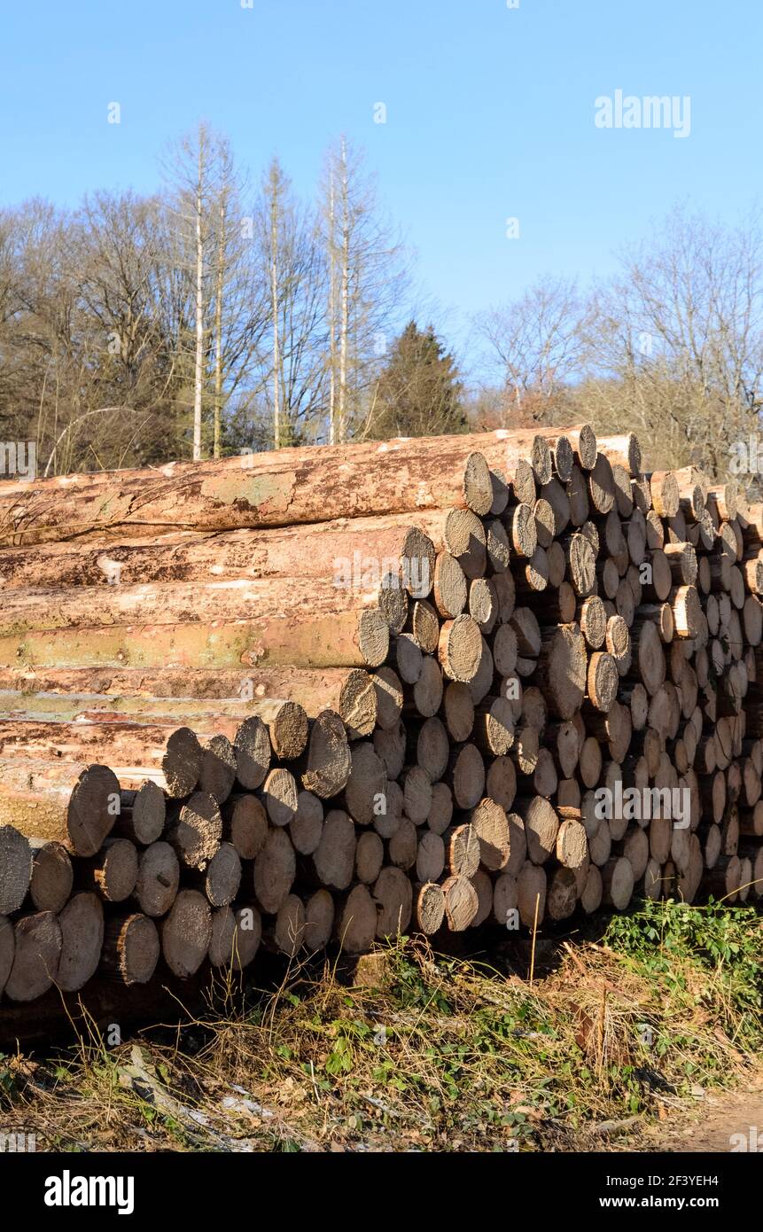 Germany German Cross Section High Resolution Stock Photography and ...