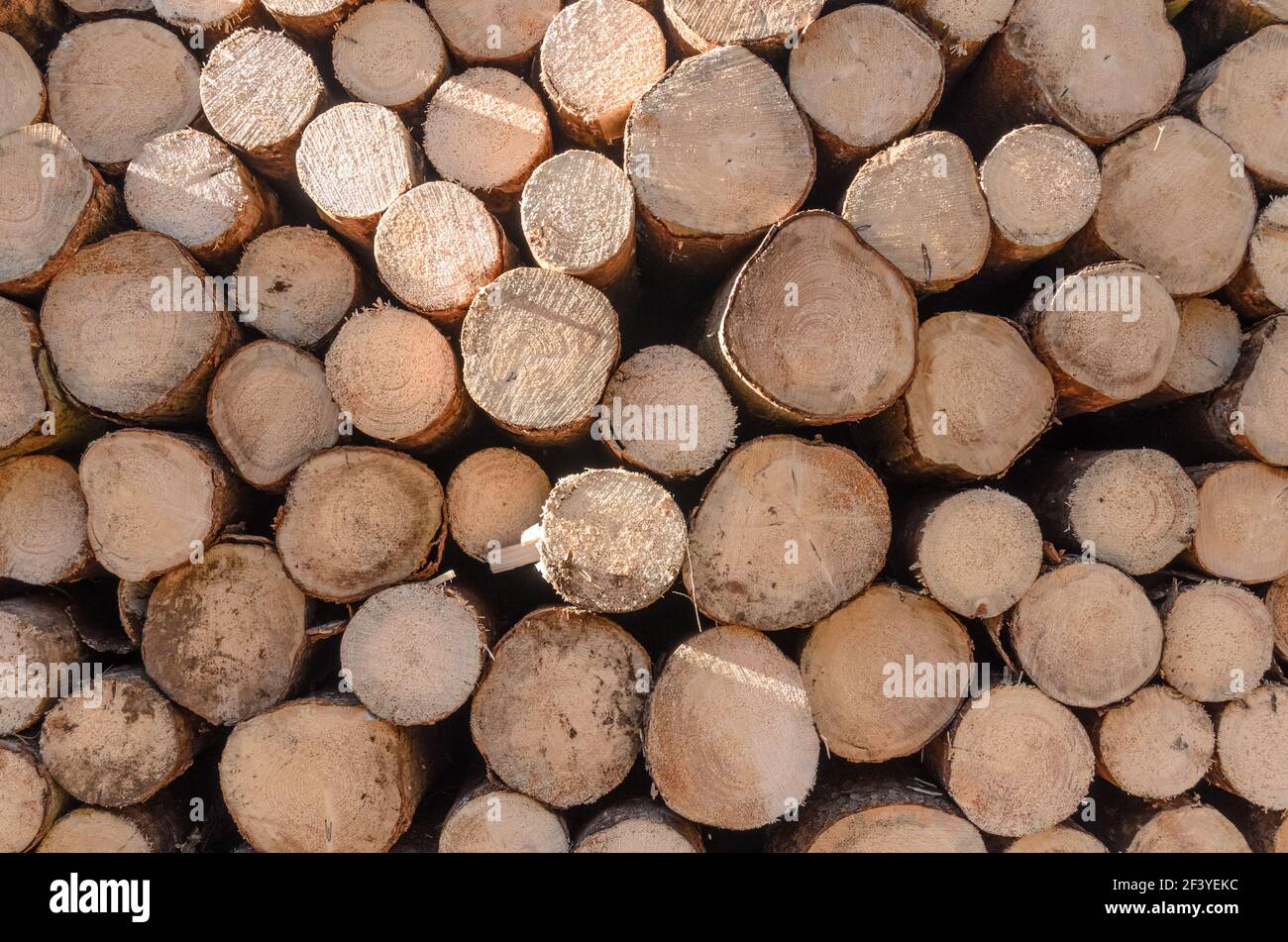 Germany German Cross Section High Resolution Stock Photography and ...