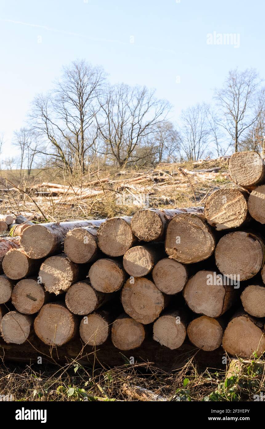 Germany German Cross Section High Resolution Stock Photography and ...