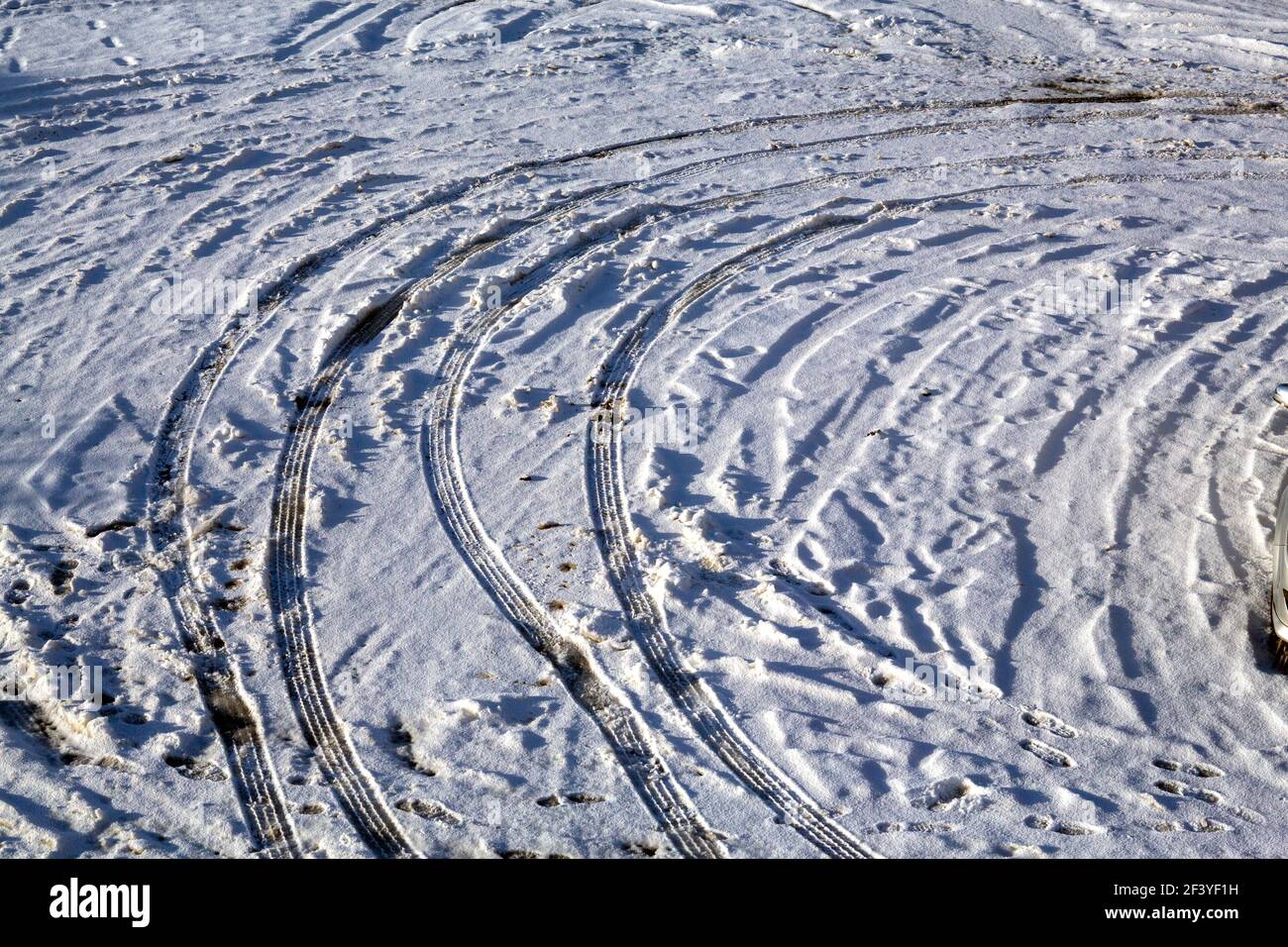 Tracks in the snow Stock Photo - Alamy
