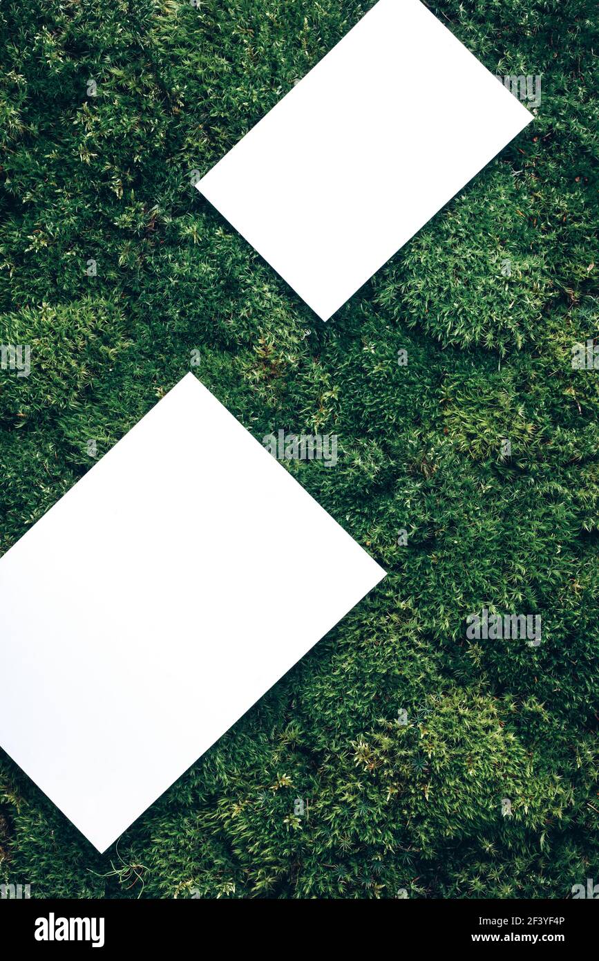 Creative layout made of square card note on green grass, moss ...