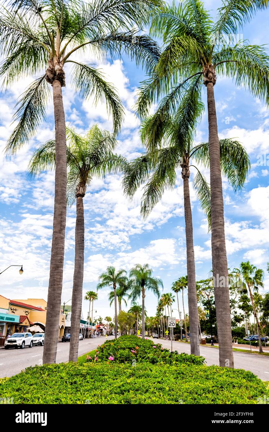 Venice, USA - April 29, 2018: Venice avenue road with rows of lined ...