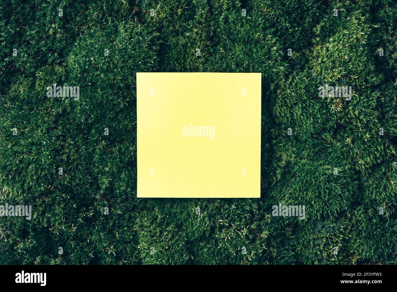 Creative layout made of square card note on green grass, moss ...