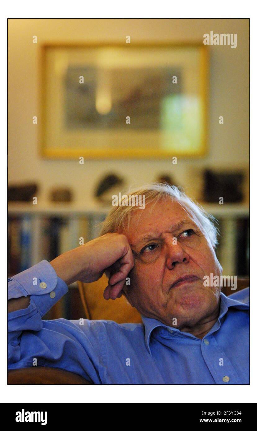 Sir David Attenborough at his home in Richmond.pic David Sandison 6/11 ...