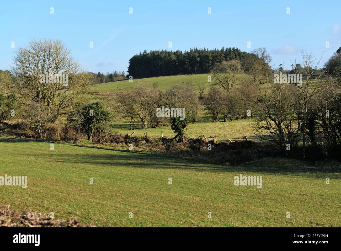 Scottish landscape photography hi-res stock photography and images - Alamy