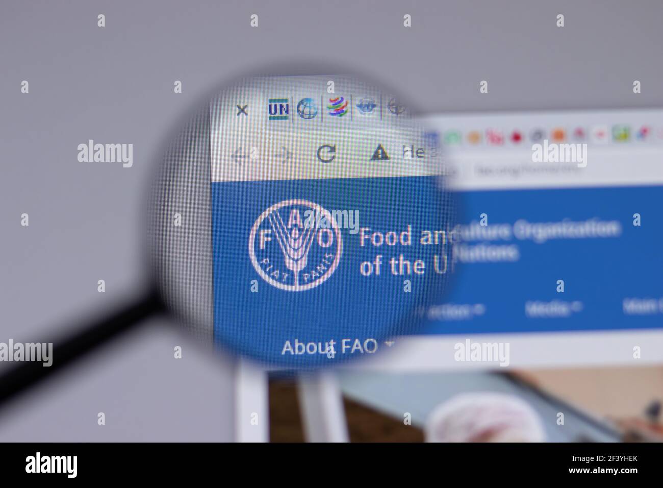 Fao business company logo hi-res stock photography and images - Alamy