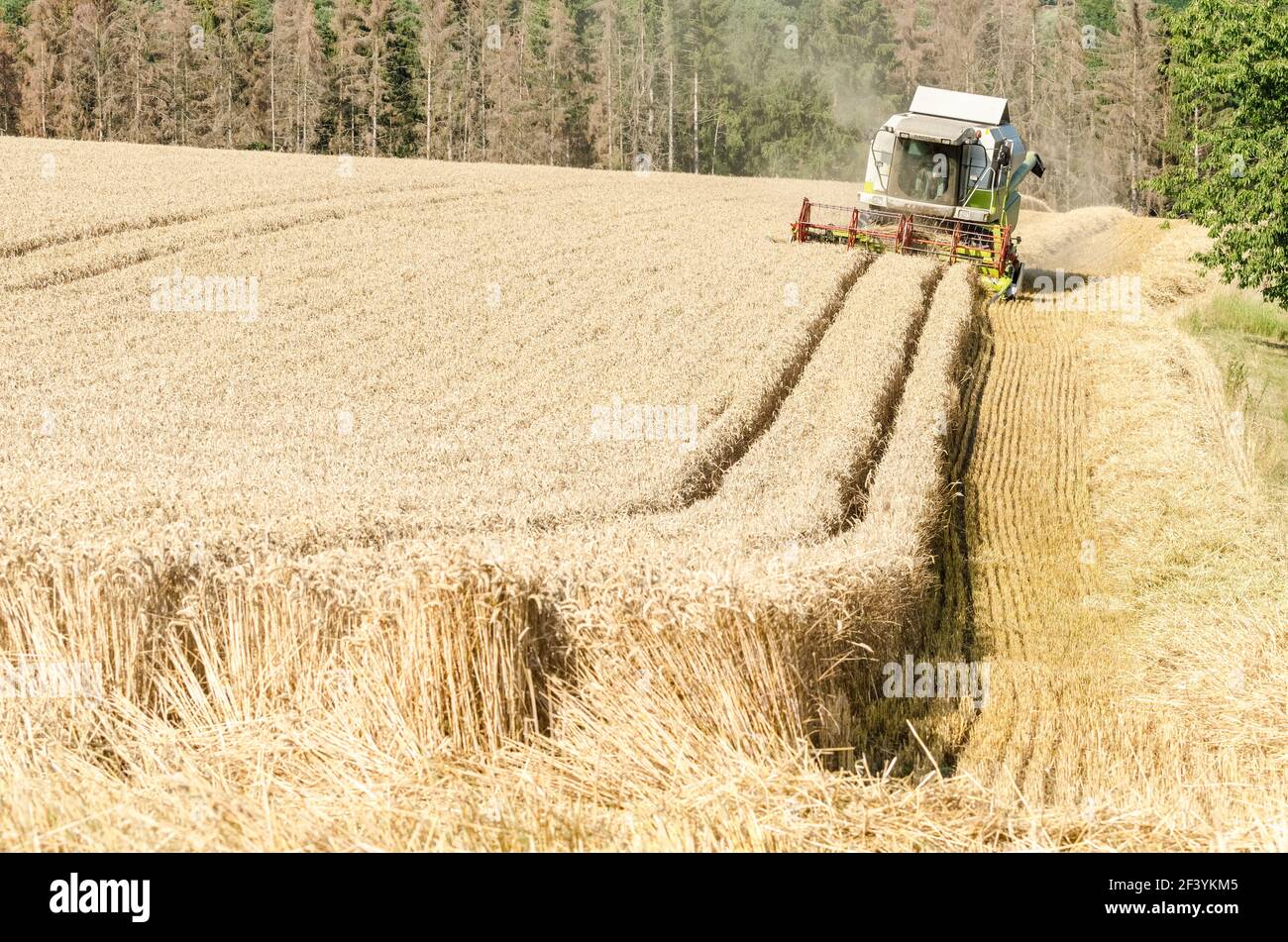 Claas Mega 350 combine harvester with C 450 folding cutterbar in action ...