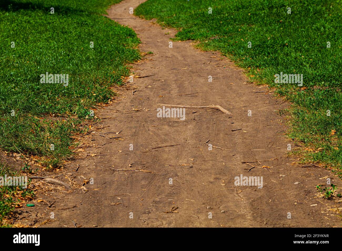 Summer landscape park on hi-res stock photography and images - Alamy