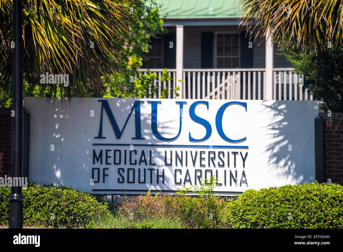 Musc university hi-res stock photography and images - Alamy