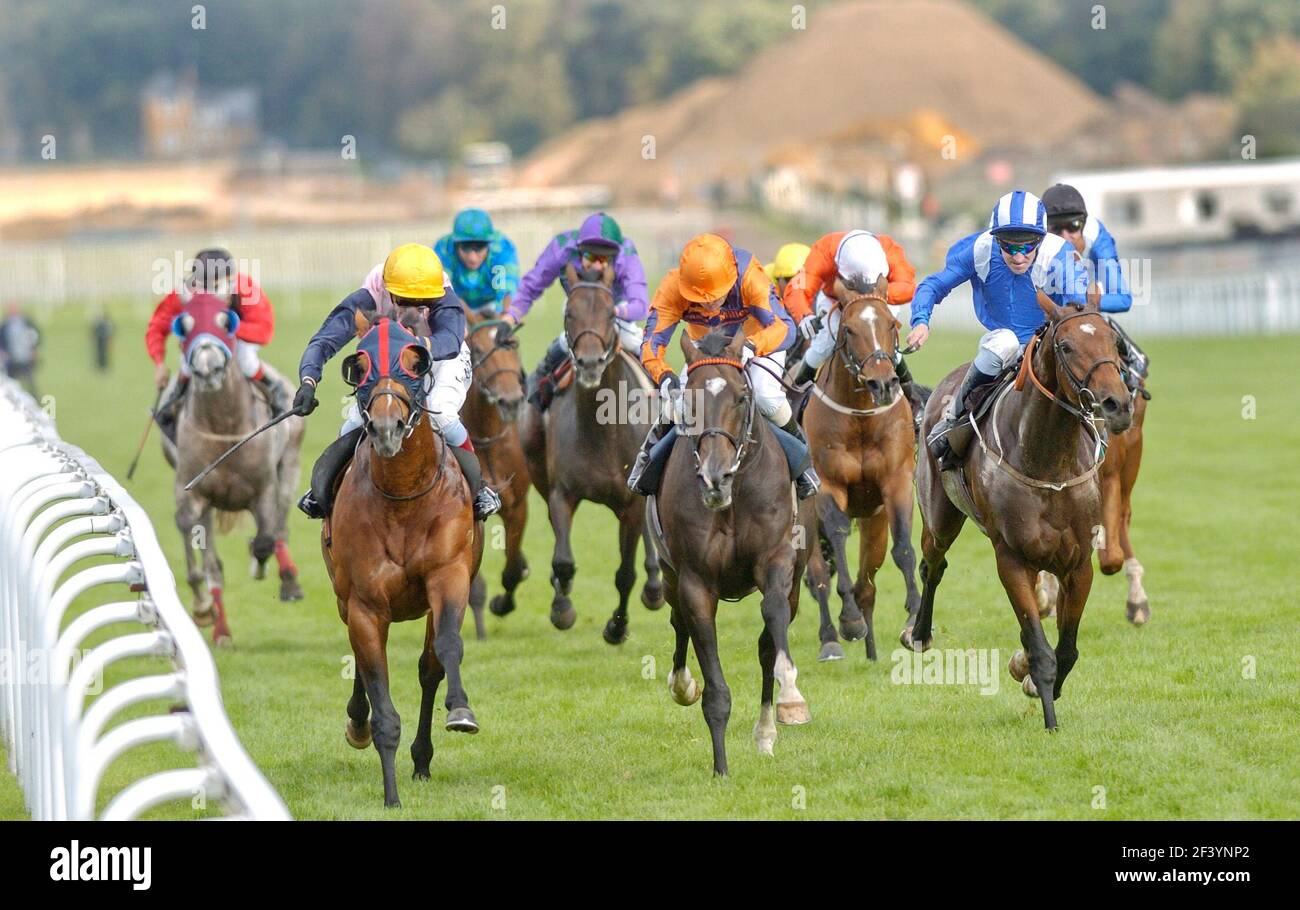 Ascot ascot hi-res stock photography and images - Alamy