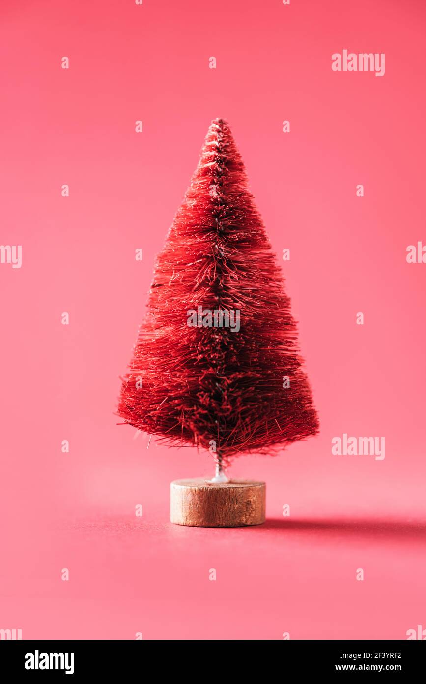 Zero waste Christmas tree on red background. Minimal concept. Copy ...