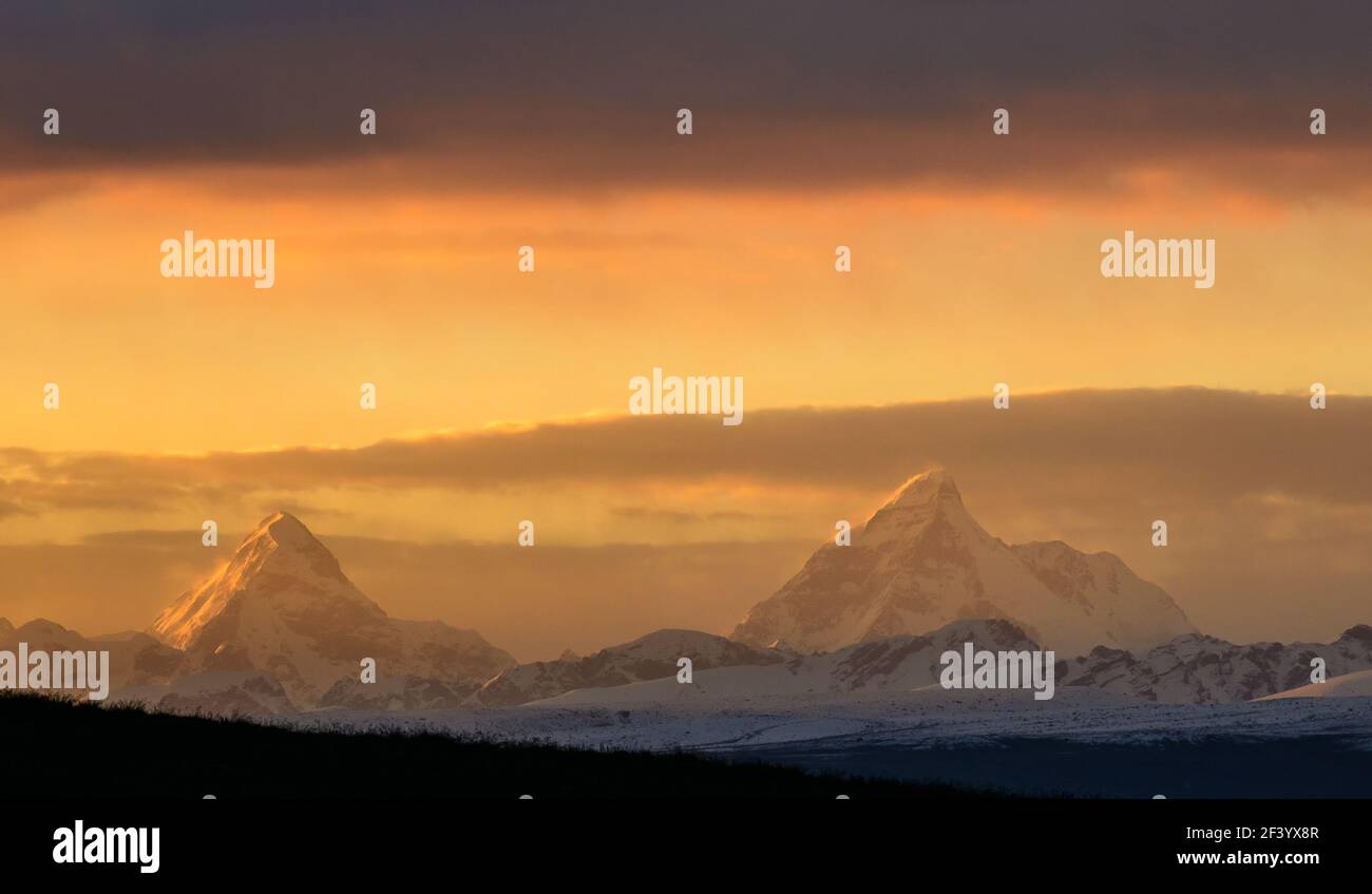 Dankov hi-res stock photography and images - Alamy