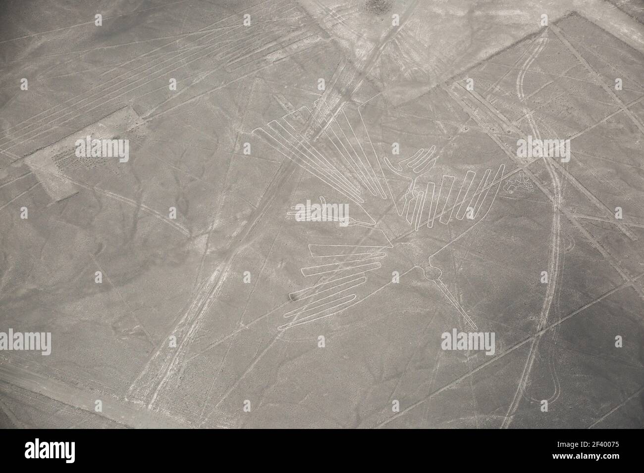 Lignes de nazca hi-res stock photography and images - Alamy