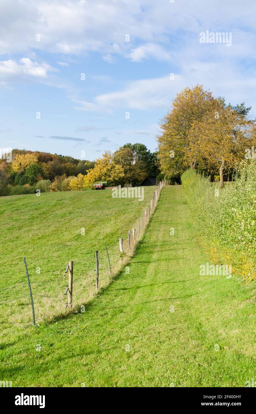Wooden fence poles and agricutural road or path around a pasture in the ...