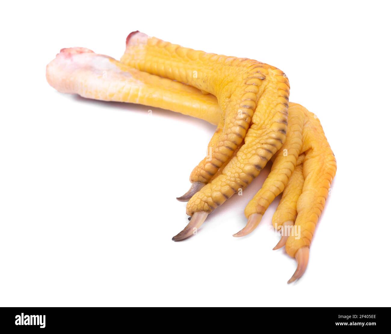 Fresh raw chicken feet or foot chicken paw isolated on white background ...