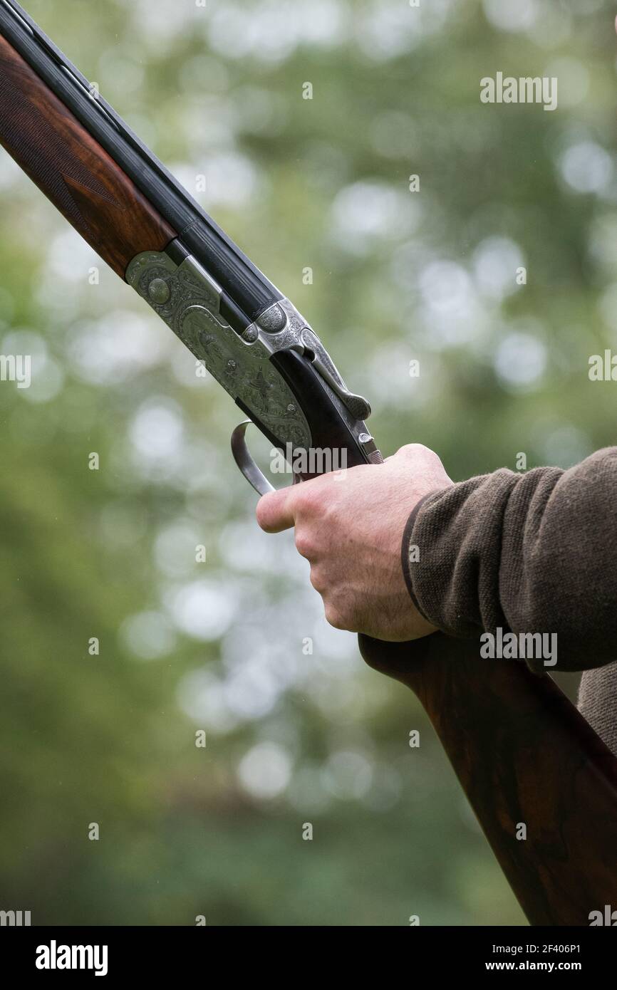 Over and under shotgun, game shooting Stock Photo - Alamy