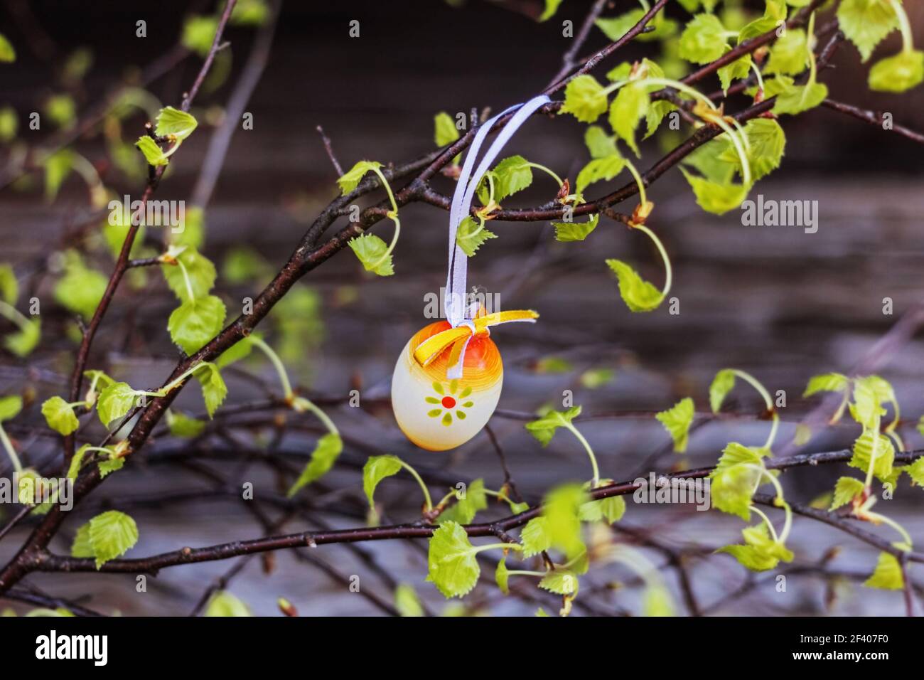 Real pretty little Easter egg hanging on branches of birch Stock Photo ...