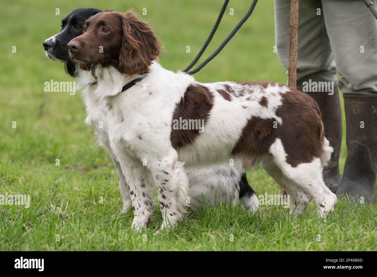 Waiting for pick up hi-res stock photography and images - Alamy