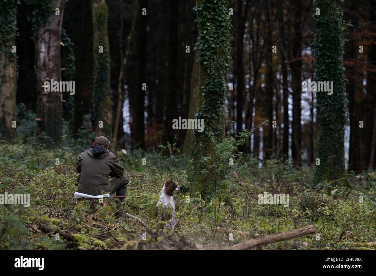 Game shooting beaters flag hi-res stock photography and images - Alamy