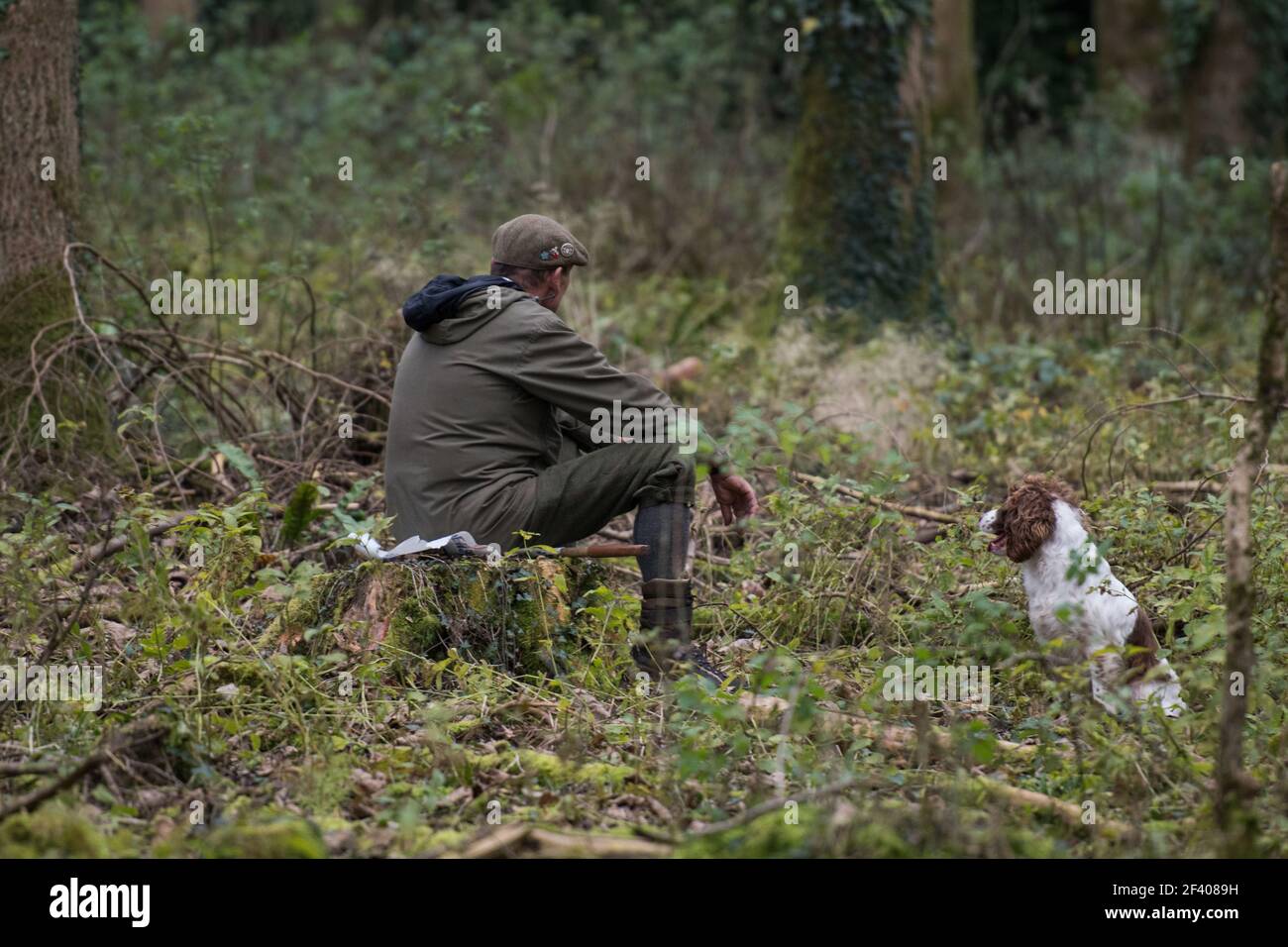 Game shooting beaters flag hi-res stock photography and images - Alamy