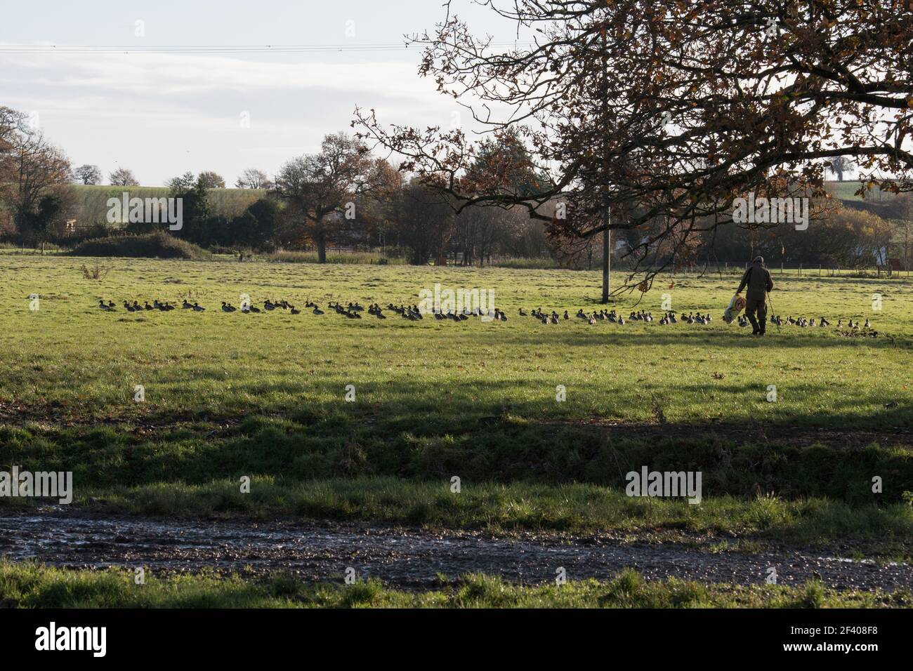 Game keeper hi-res stock photography and images - Alamy