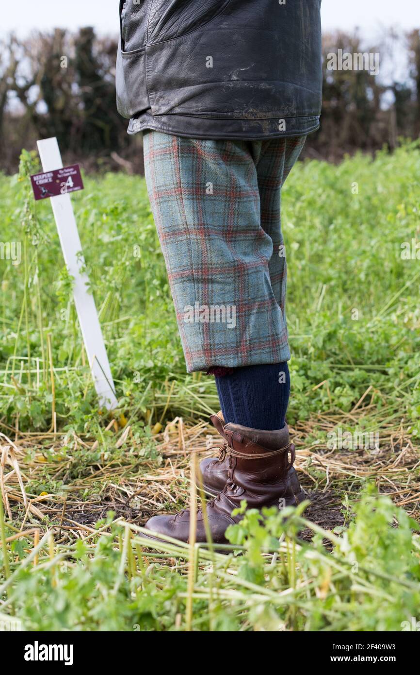 Man shooting pheasant in field hi-res stock photography and images - Alamy