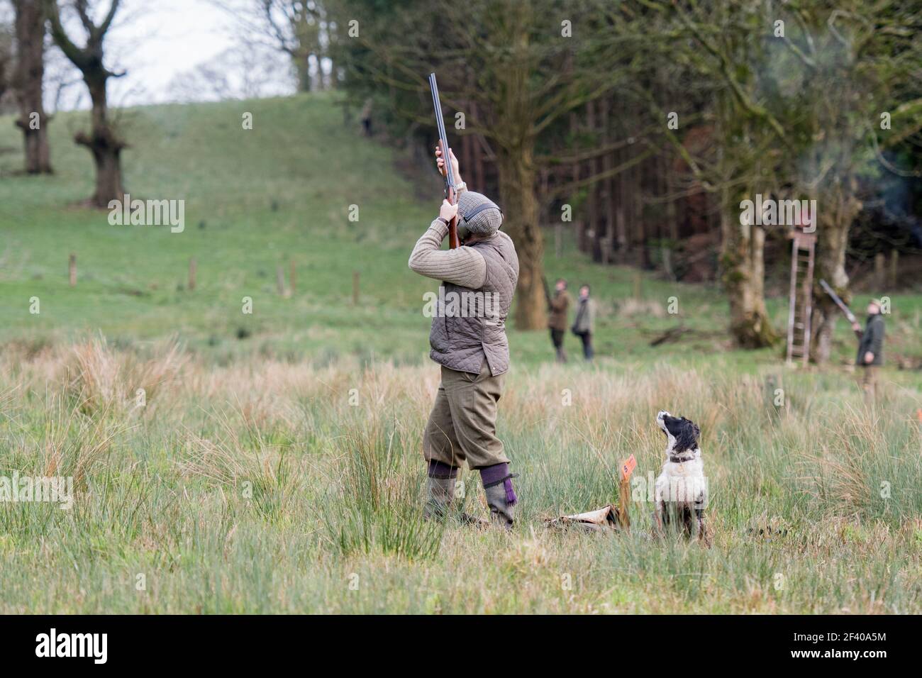 Game shooting line Stock Photo - Alamy