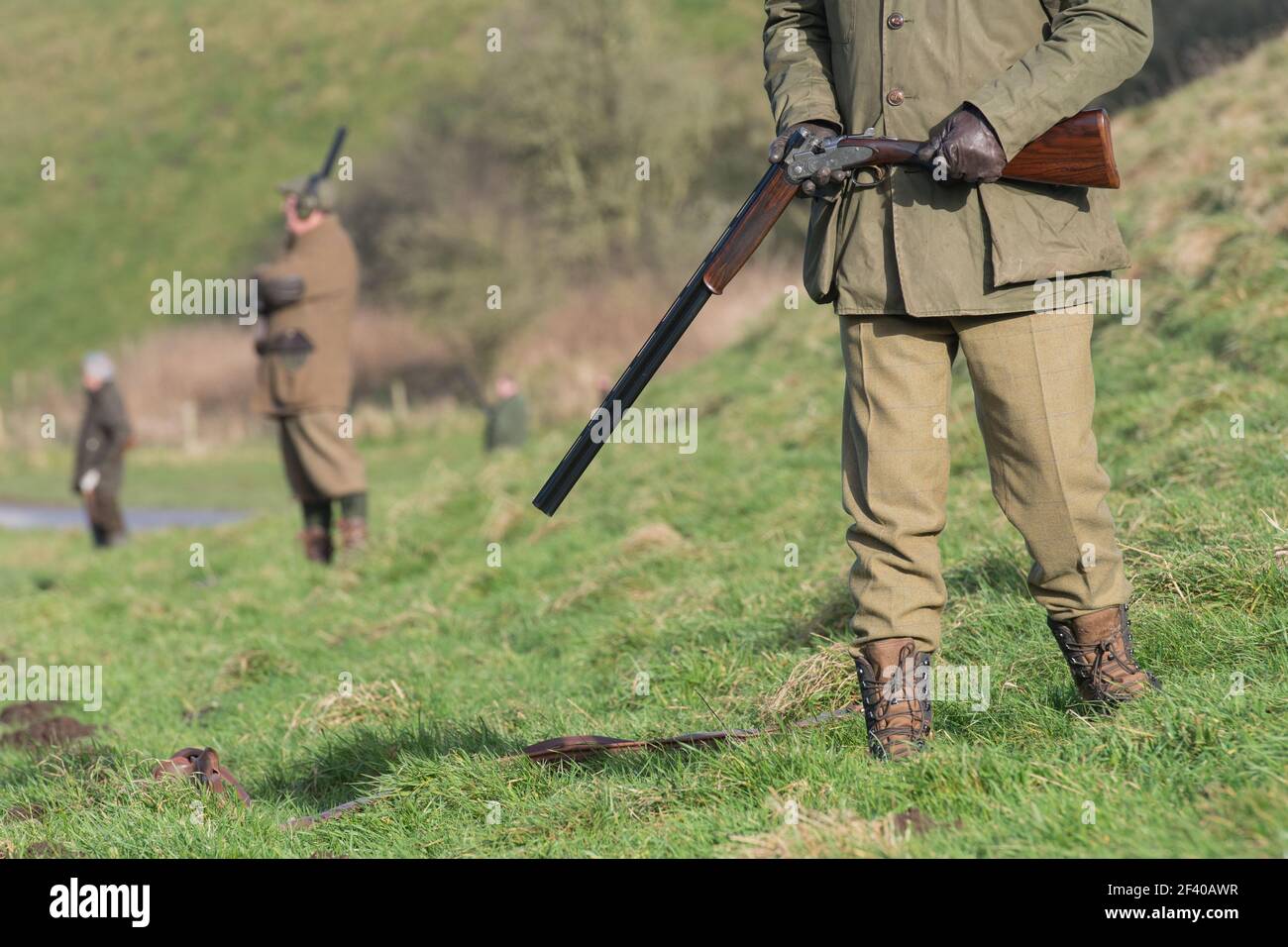 Pheasant shooting scene Stock Photo - Alamy