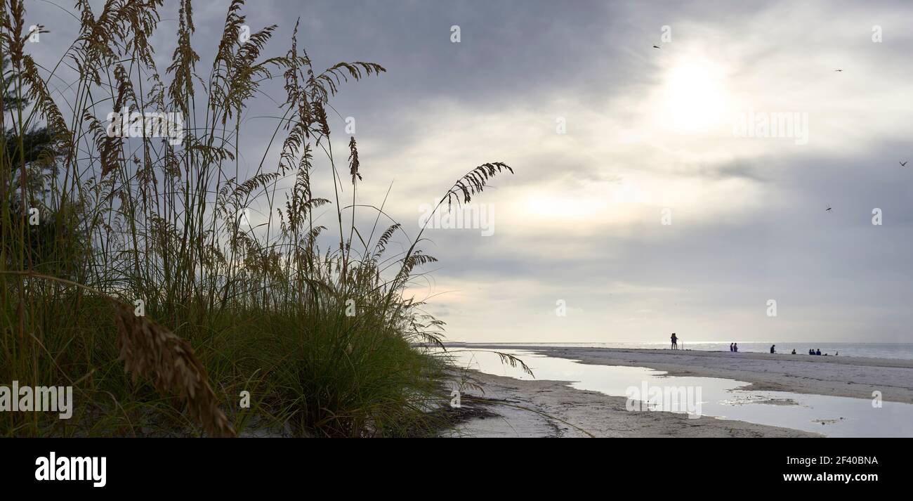 Holmes beach anna maria island hi-res stock photography and images - Alamy