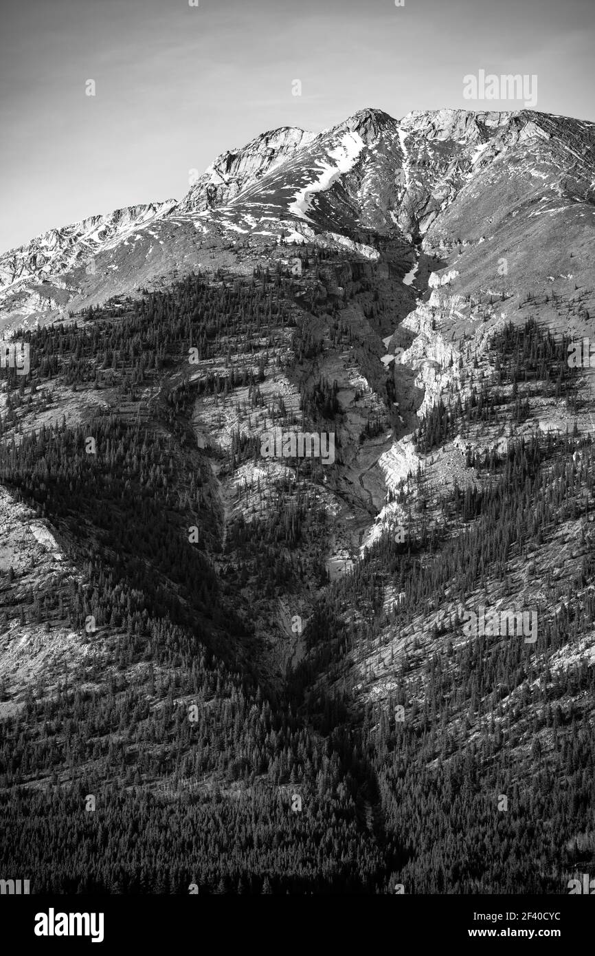 A black and white view of a mountainside ravine in the Canadian Rockies ...