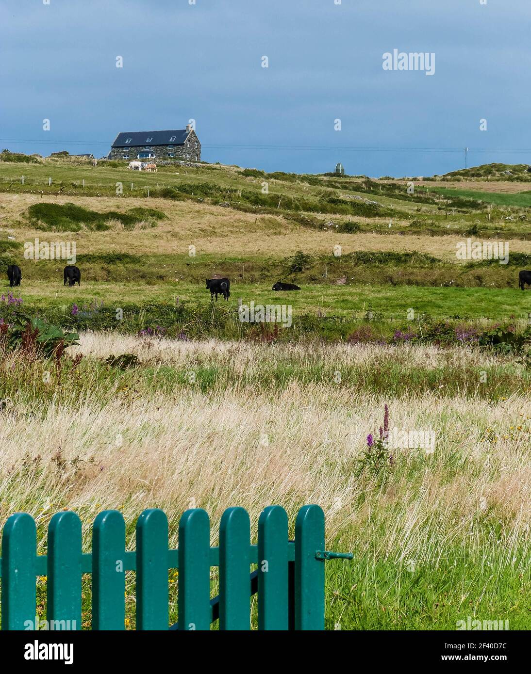 old farm house with green fields and animals and a green fence in ...