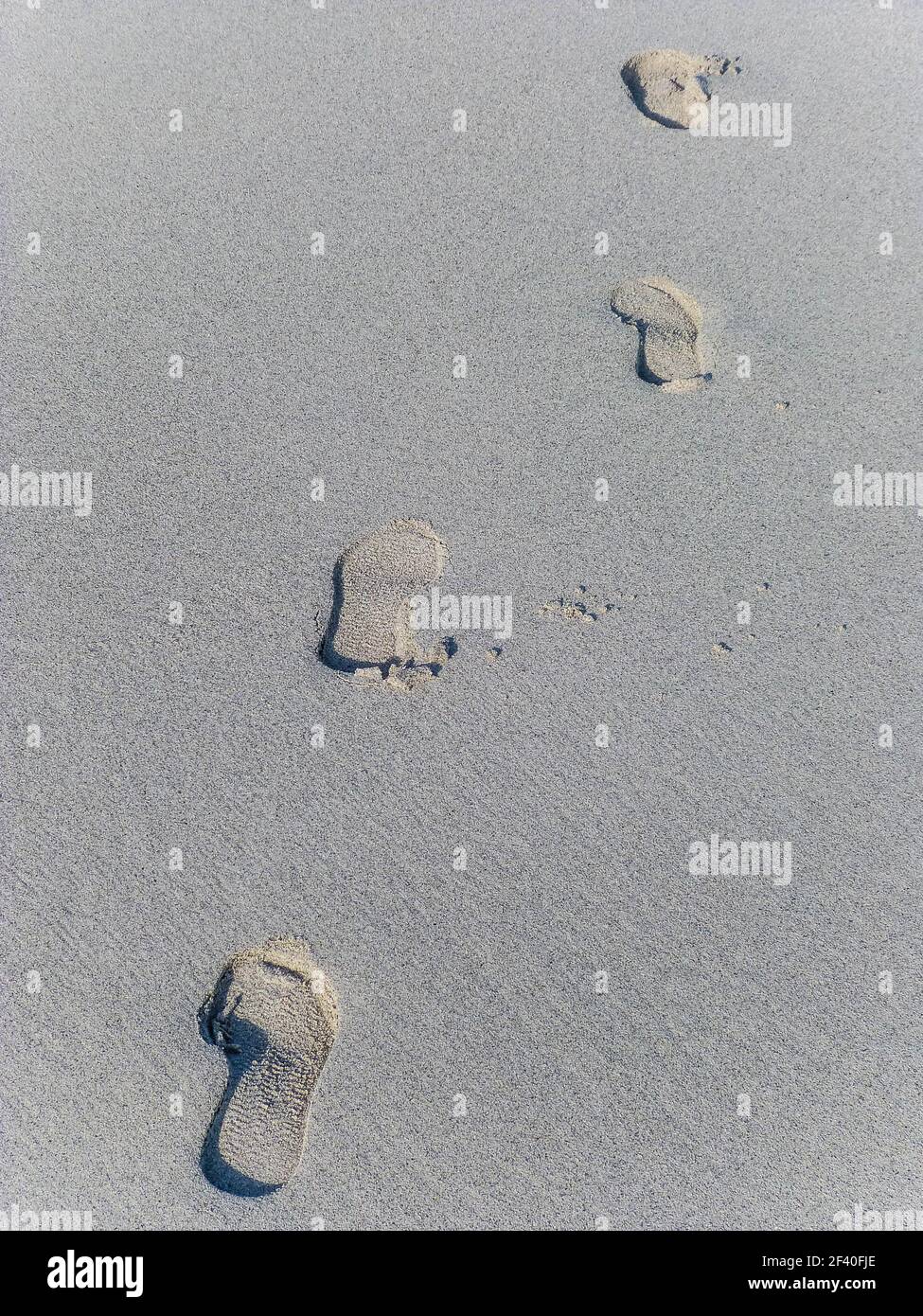 footprints in sand on a beach Stock Photo - Alamy