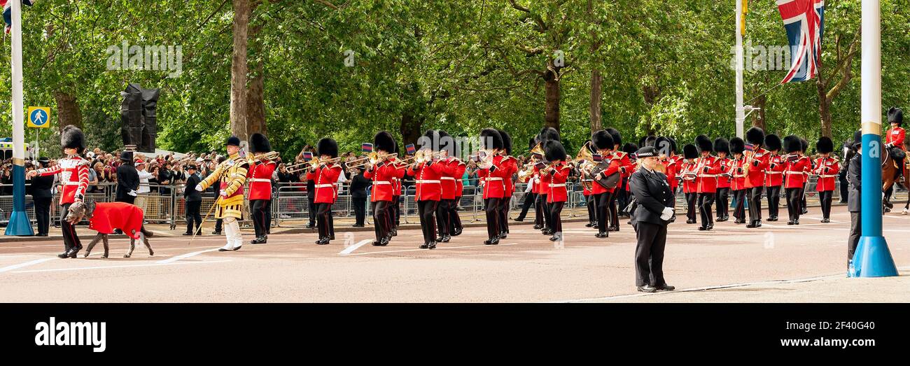 Ceremonial uniform of the irish guards hi-res stock photography and ...