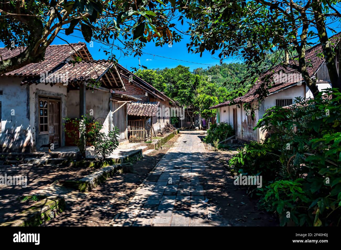 Central javanese hi-res stock photography and images - Alamy