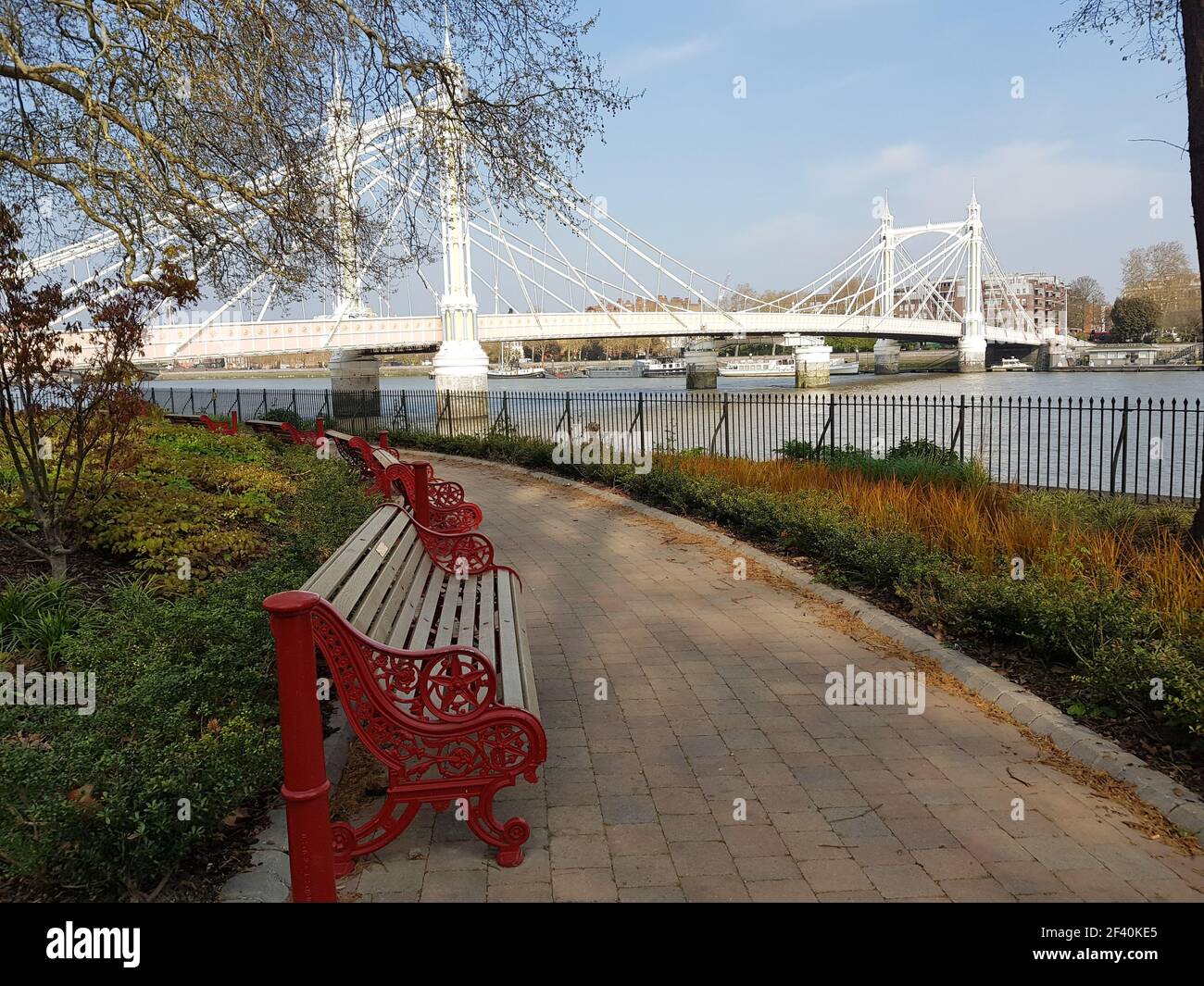 View of the Albert bridge from Battersea park inLondon, England, UK ...