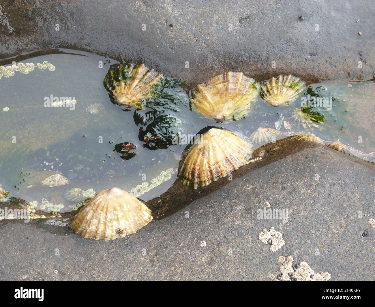 Two rocks texture hi-res stock photography and images - Alamy