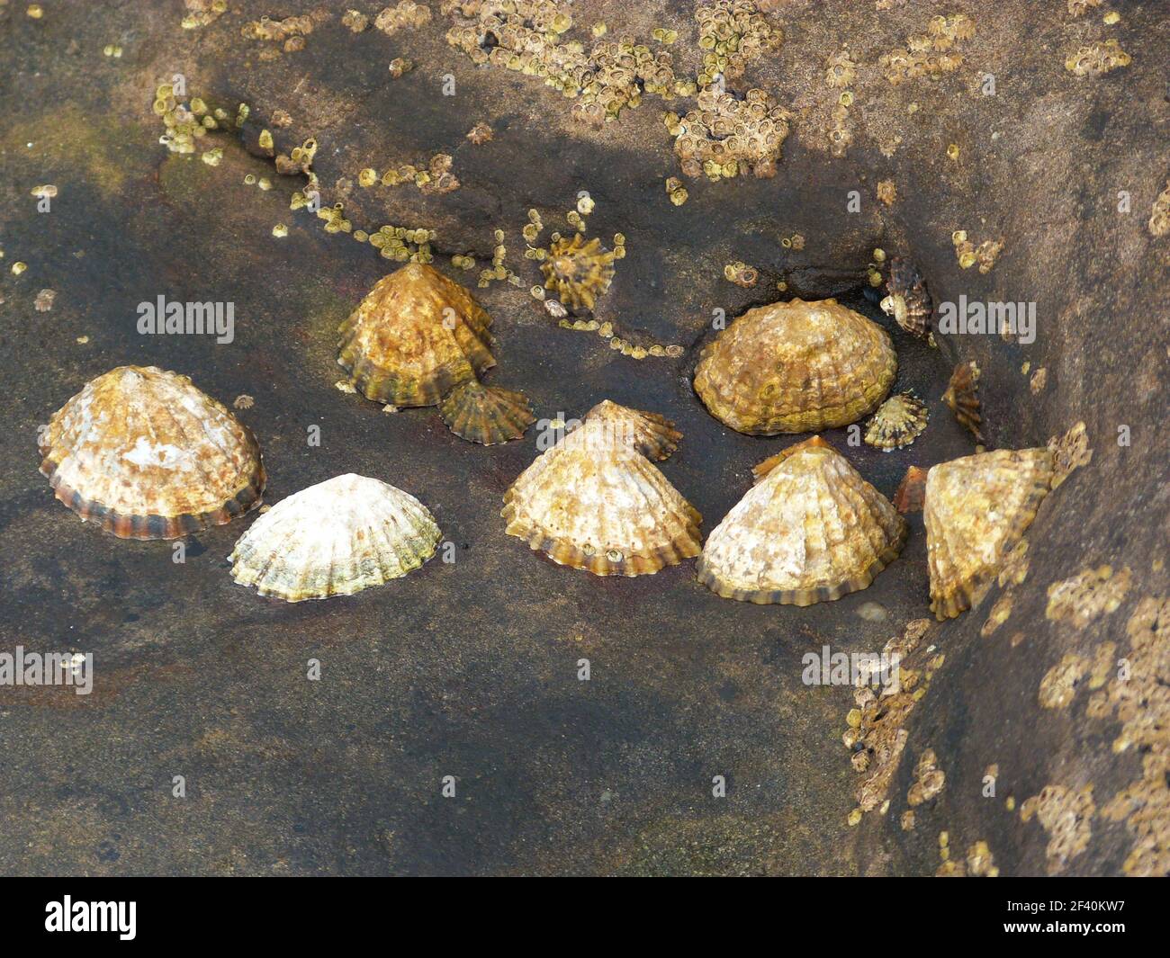 Water between the rocks hi-res stock photography and images - Alamy