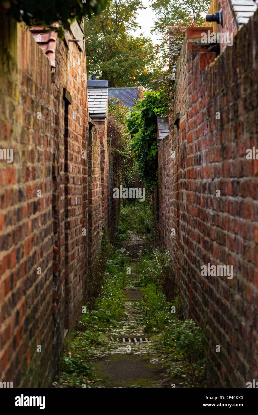 An overgrown narrow passage between buildings known as a snicket or ...