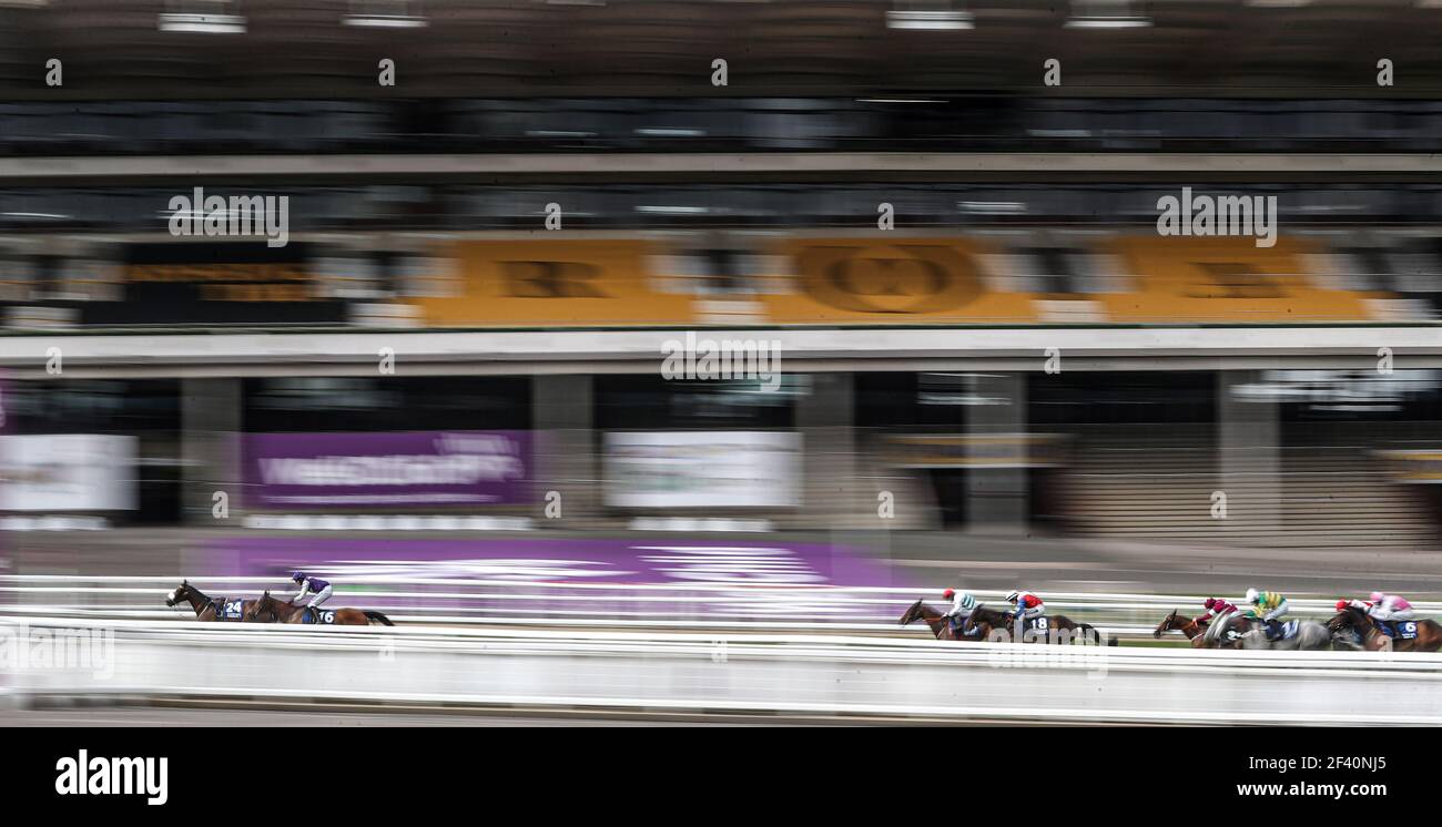 Mrs Milner ridden by Bryan Cooper (no.16) wins the Pertemps Network ...