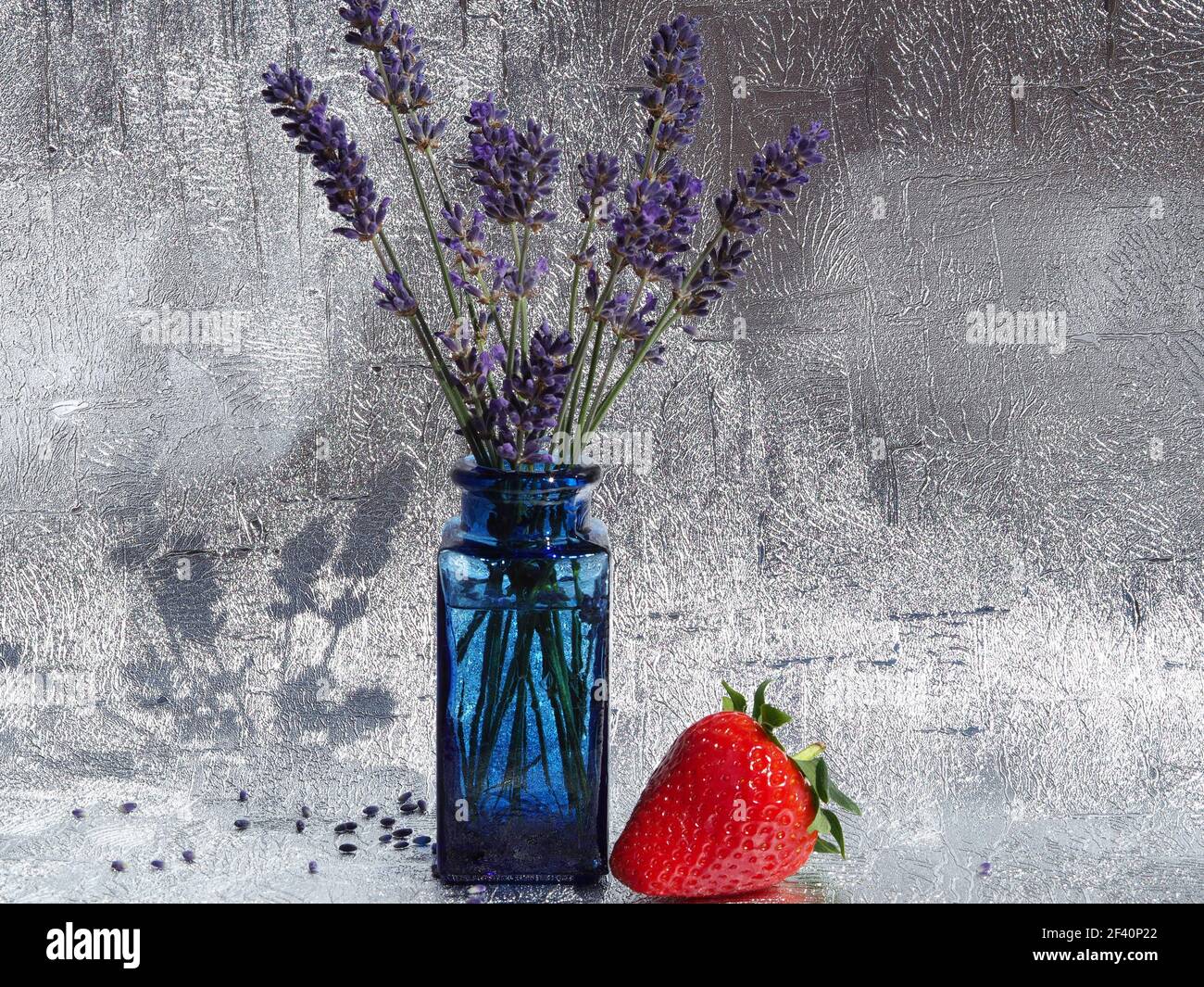 LAVENDER AND STRAWBERRY DISPLAYED AGAINST A SILVER BACKGOUND Stock ...